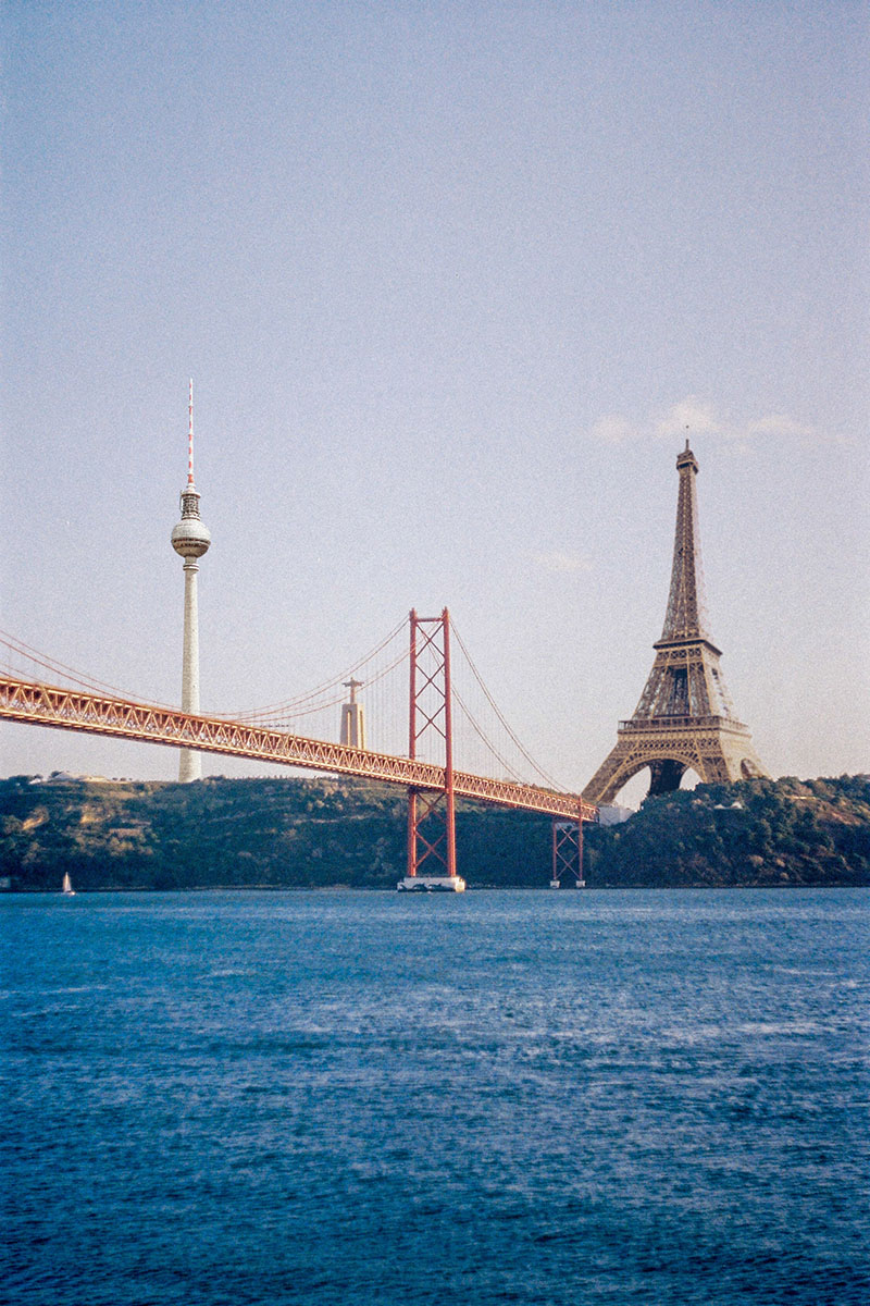 Contact – the Dodo*